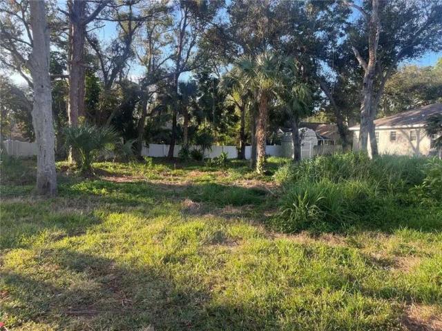 land FL FL DS102520213