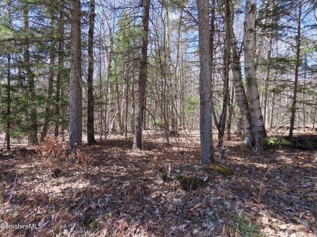 land Florida MA DS102670400