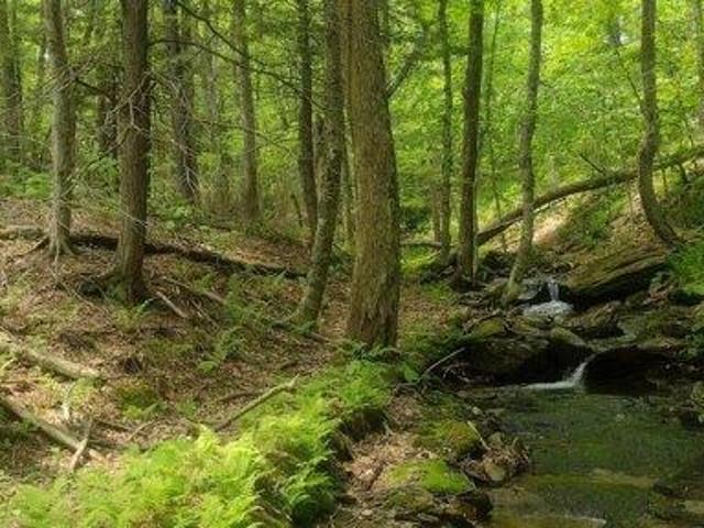 land Florida MA DS102343635