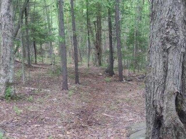 land Florida MA ES104848292