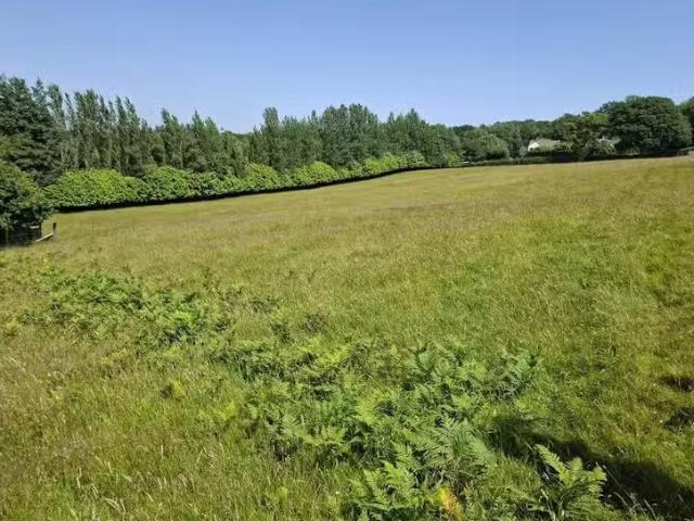 Land for rent in Raymonds Hill, Axminster, EX13