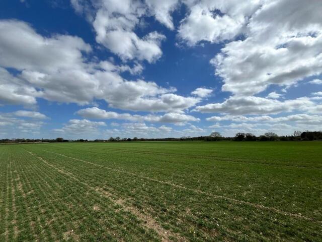Land For Sale Attleborough Norfolk 800000 ES100540669