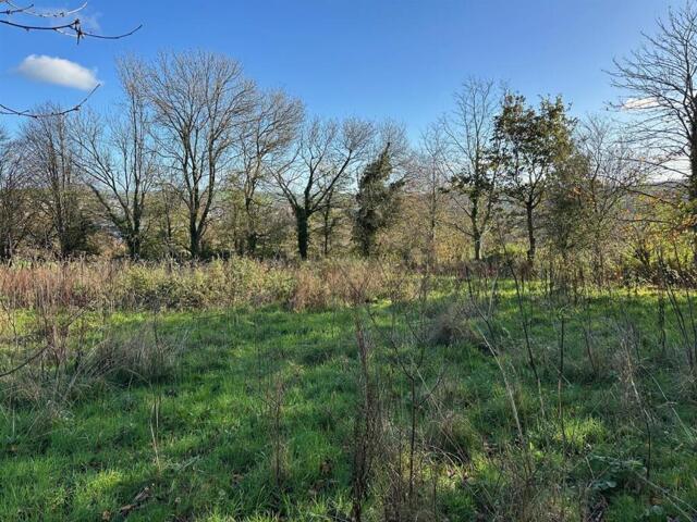 Land For Sale Barnstaple Devon 330000 ELS99608585