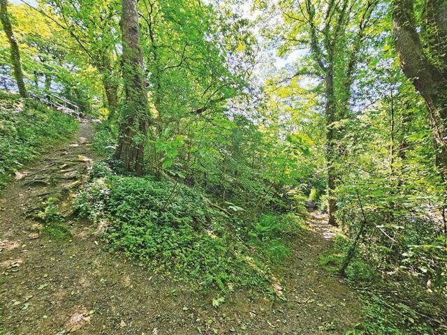 Land For Sale Blackburn Lancashire 3000 ELS99608523