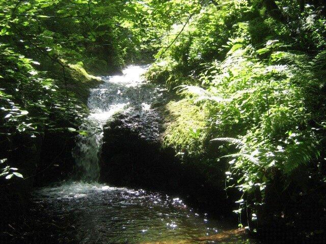 Land For Sale Bridgwater Somerset 150000 ELS98765642