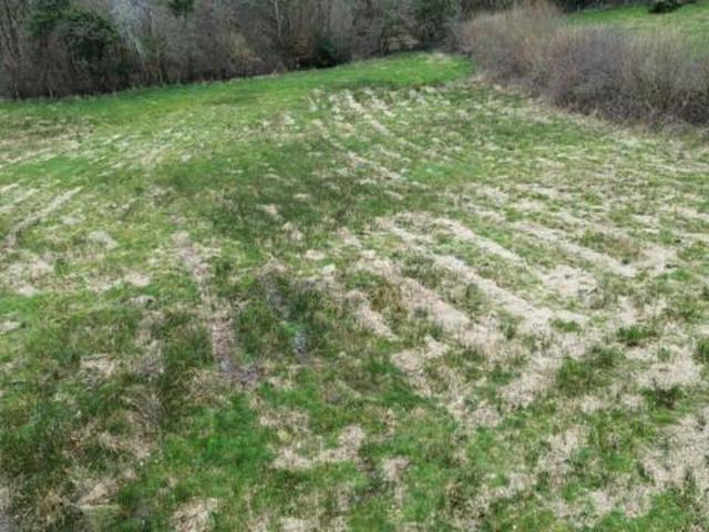 Land For Sale Ceredigion Ceredigion 100000 ELS99344806