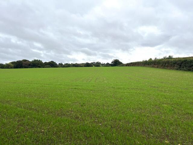 Land For Sale Devon Devon 410000 ELS98968833