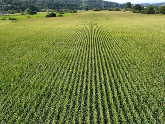 Land For Sale Exeter Devon 375000 ES98262657