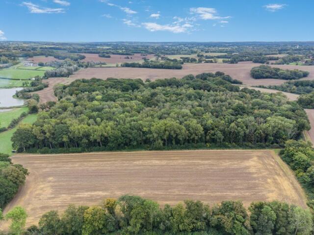 Land For Sale Hawkhurst Kent 125000 ELS100502898