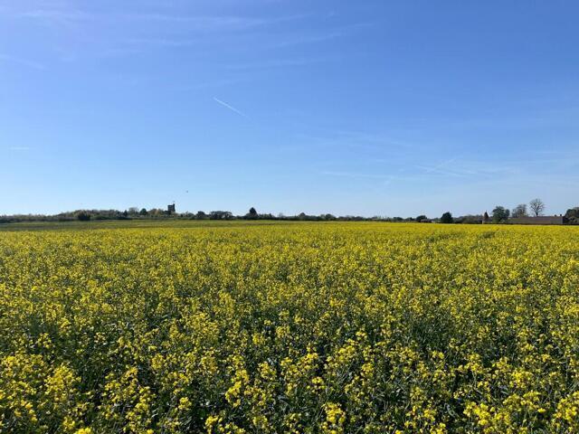 Land For Sale Kent Kent 1750000 ELS101797083
