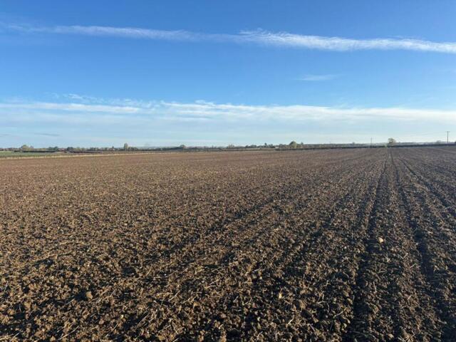 Land For Sale Lincoln Lincolnshire 455000 ELS101316483