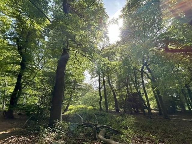 Land For Sale Reading Road Reading Road 1750000 ELS100023918