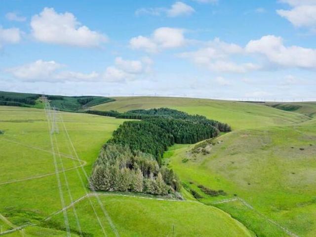 Land For Sale Scottish Borders Scottish Borders 2000 ES98386914