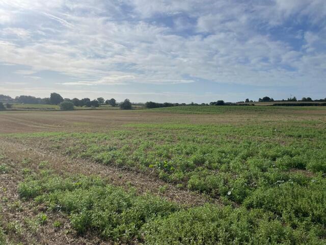 Land For Sale Shropshire Shropshire 740000 ELS98648868