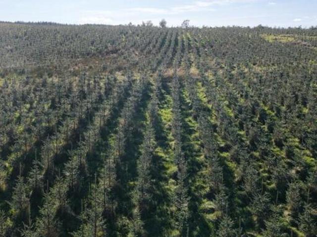 Land For Sale South Ayrshire South Ayrshire 995000 ELS100366118
