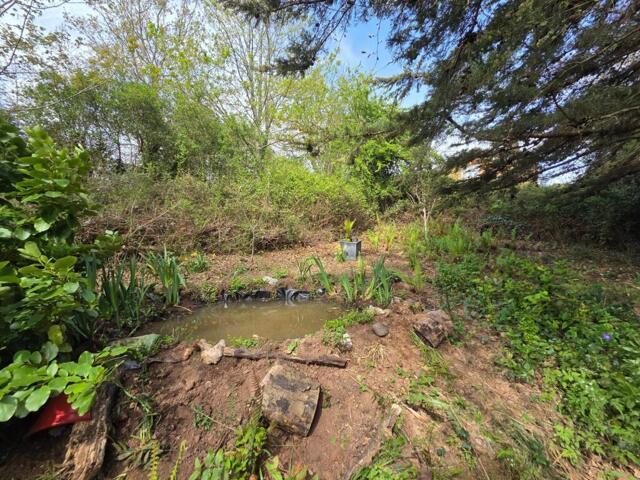 Land For Sale Teignmouth Devon 35000 ELS101891943
