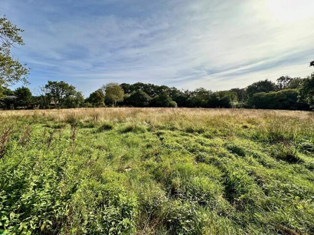 Land For Sale Wimborne Dorset 100000 ELS99475976