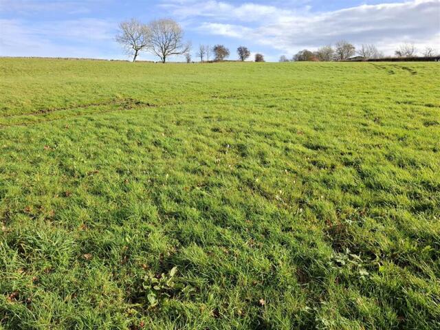 Land For Sale Winkhill Winkhill 40000 ES99986181