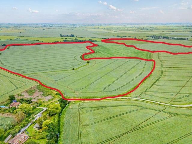 Land for sale