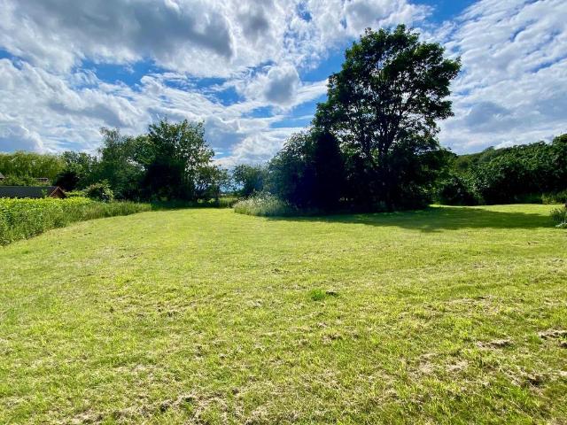 Land for sale