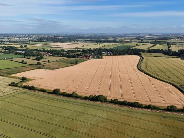 Land for sale