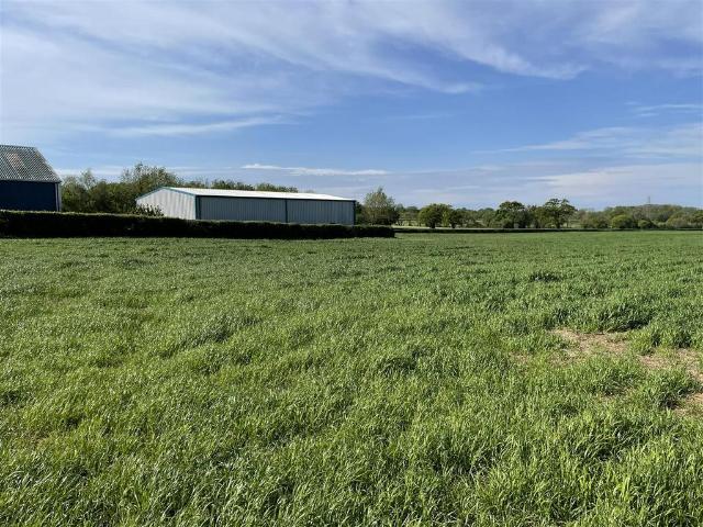 Land for sale