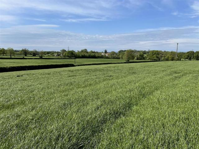 Land for sale