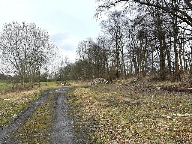 Plot for sale