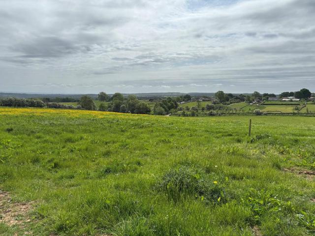 Land for sale