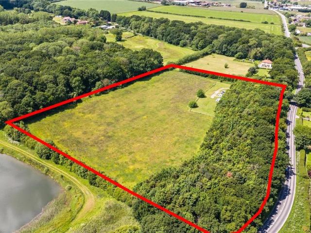 Land for sale