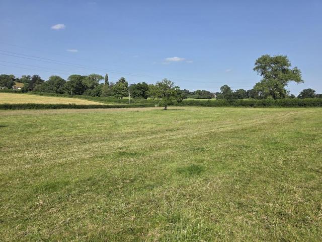 Land for sale