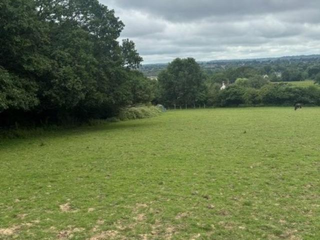 Land for sale