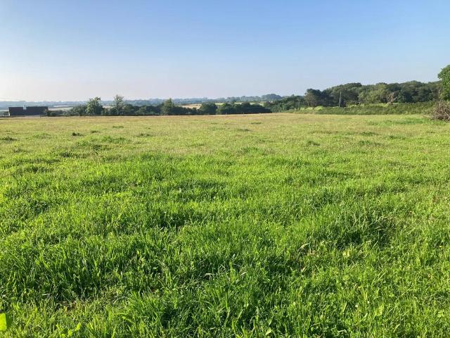 Land for sale