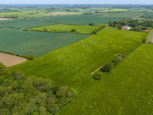 Land for sale