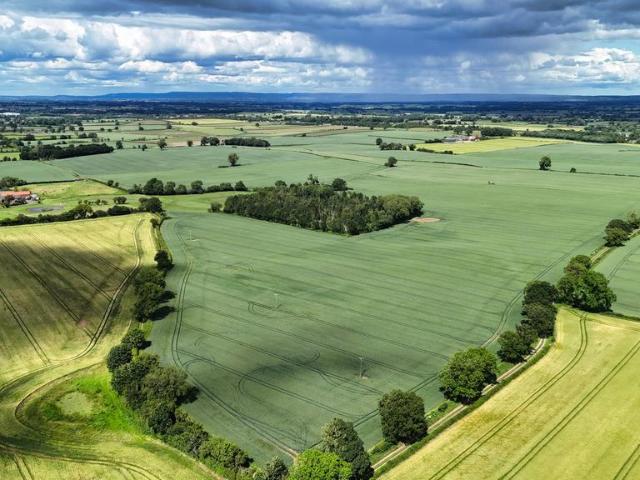 Land for sale