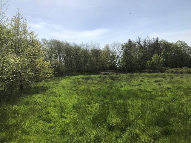 Land for sale