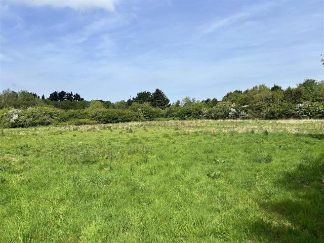 Land for sale