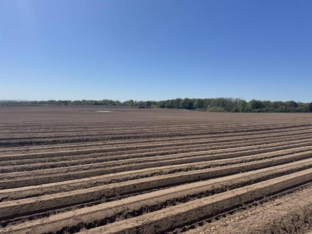 Land for sale