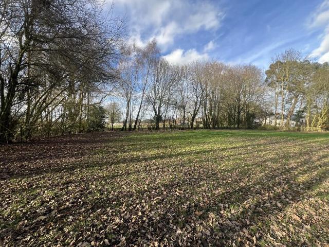 Land for sale