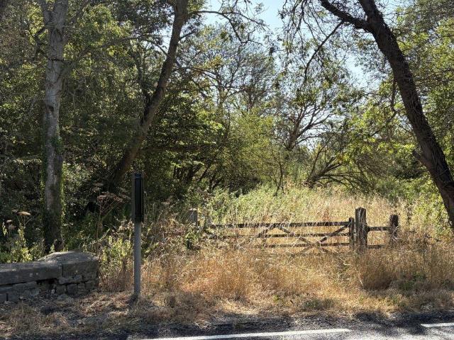 Land for sale