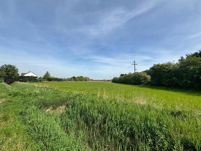 Land for sale