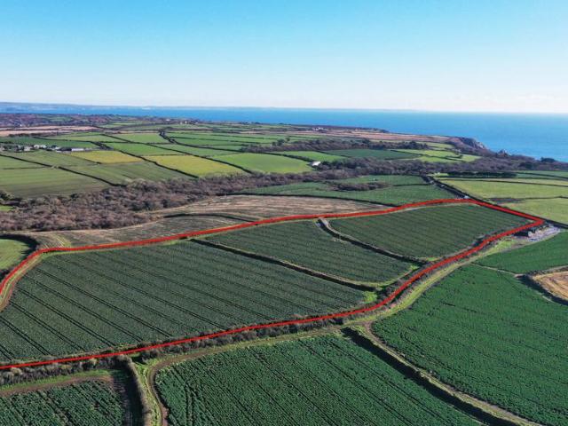 Land for sale