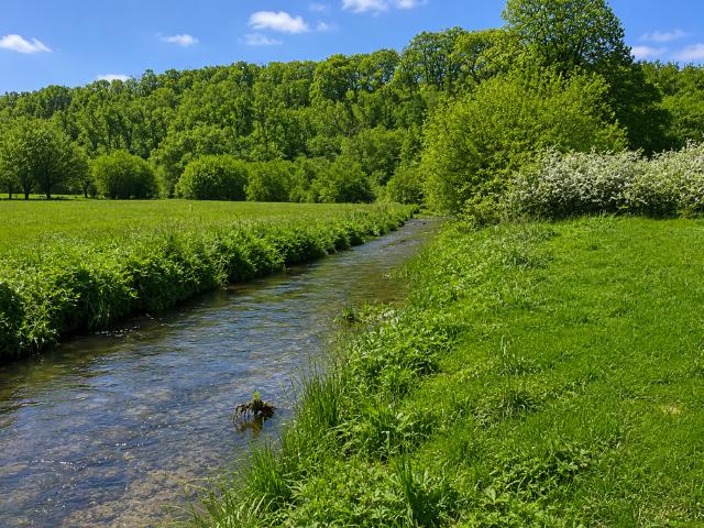 Farm land for sale