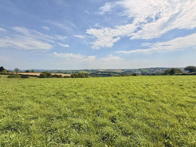 Land for sale