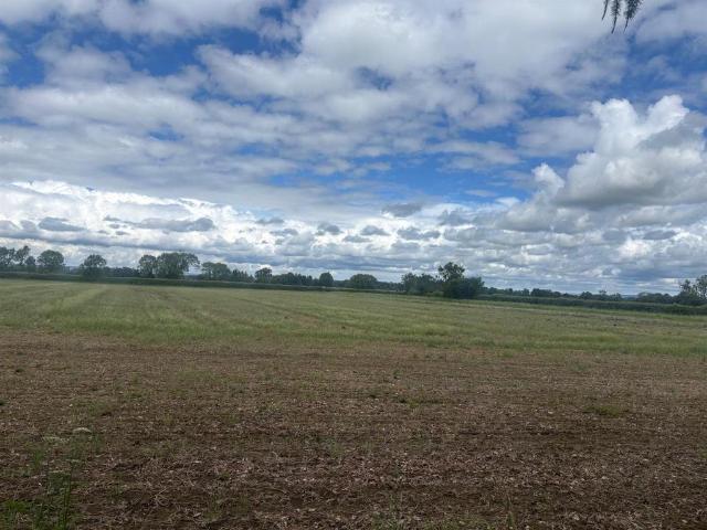 Land for sale