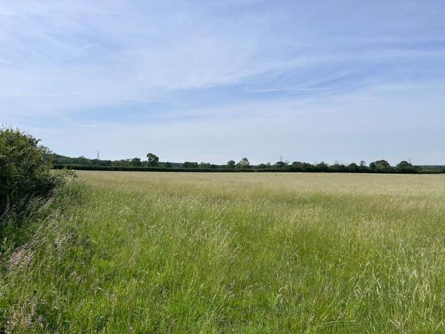 Land for sale