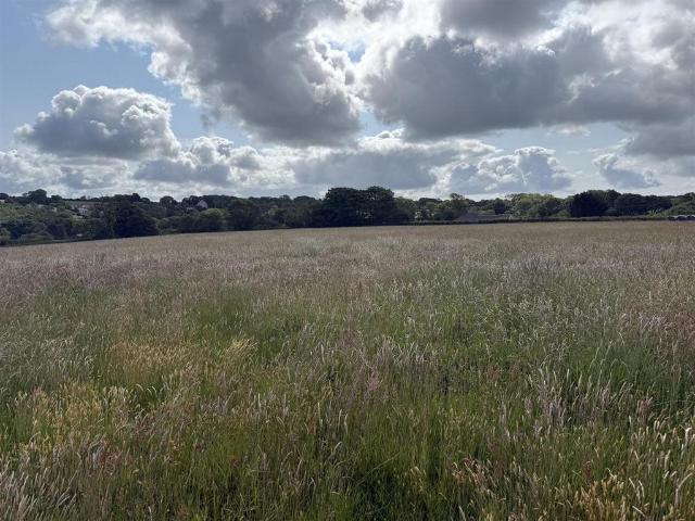 Land for sale