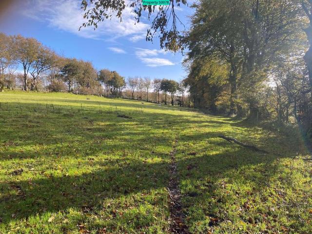 Land for sale