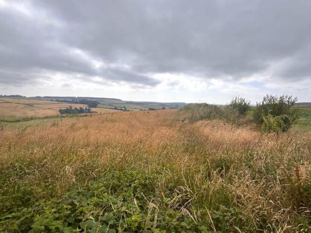 Land for sale