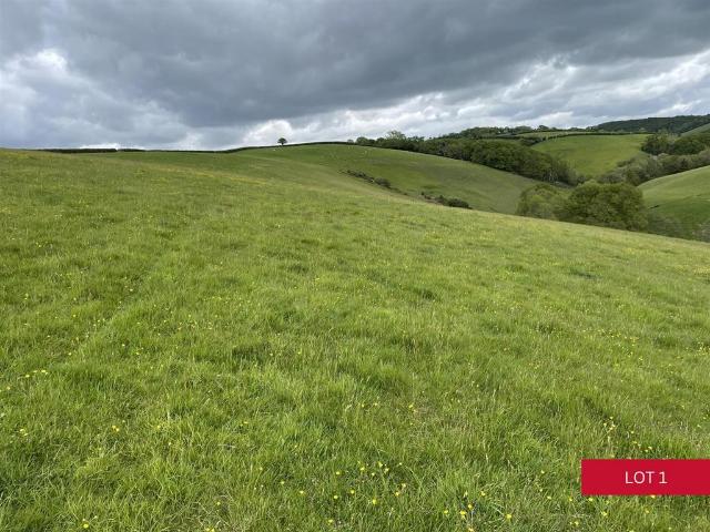 Land for sale